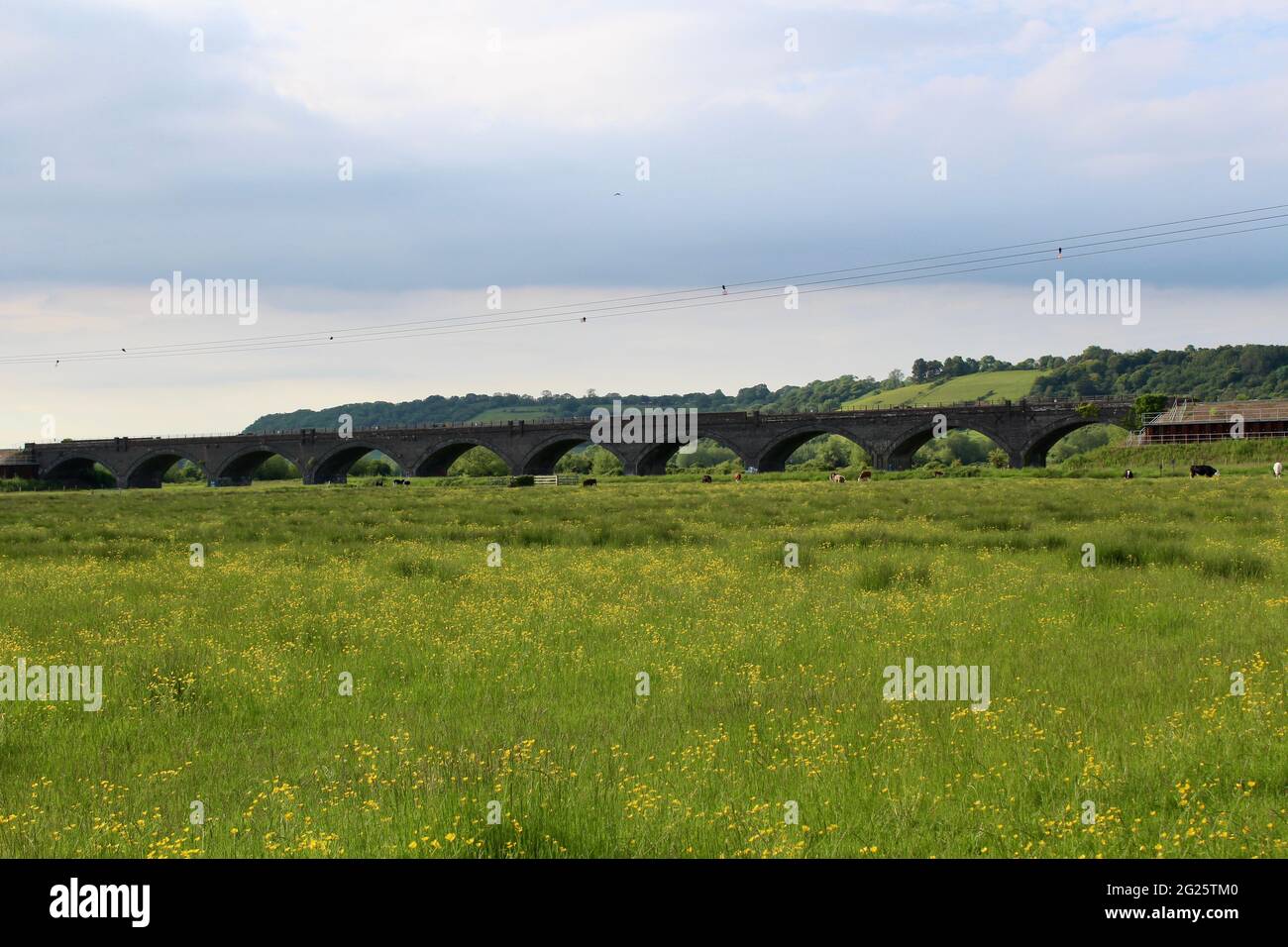 Langport hi-res stock photography and images - Alamy