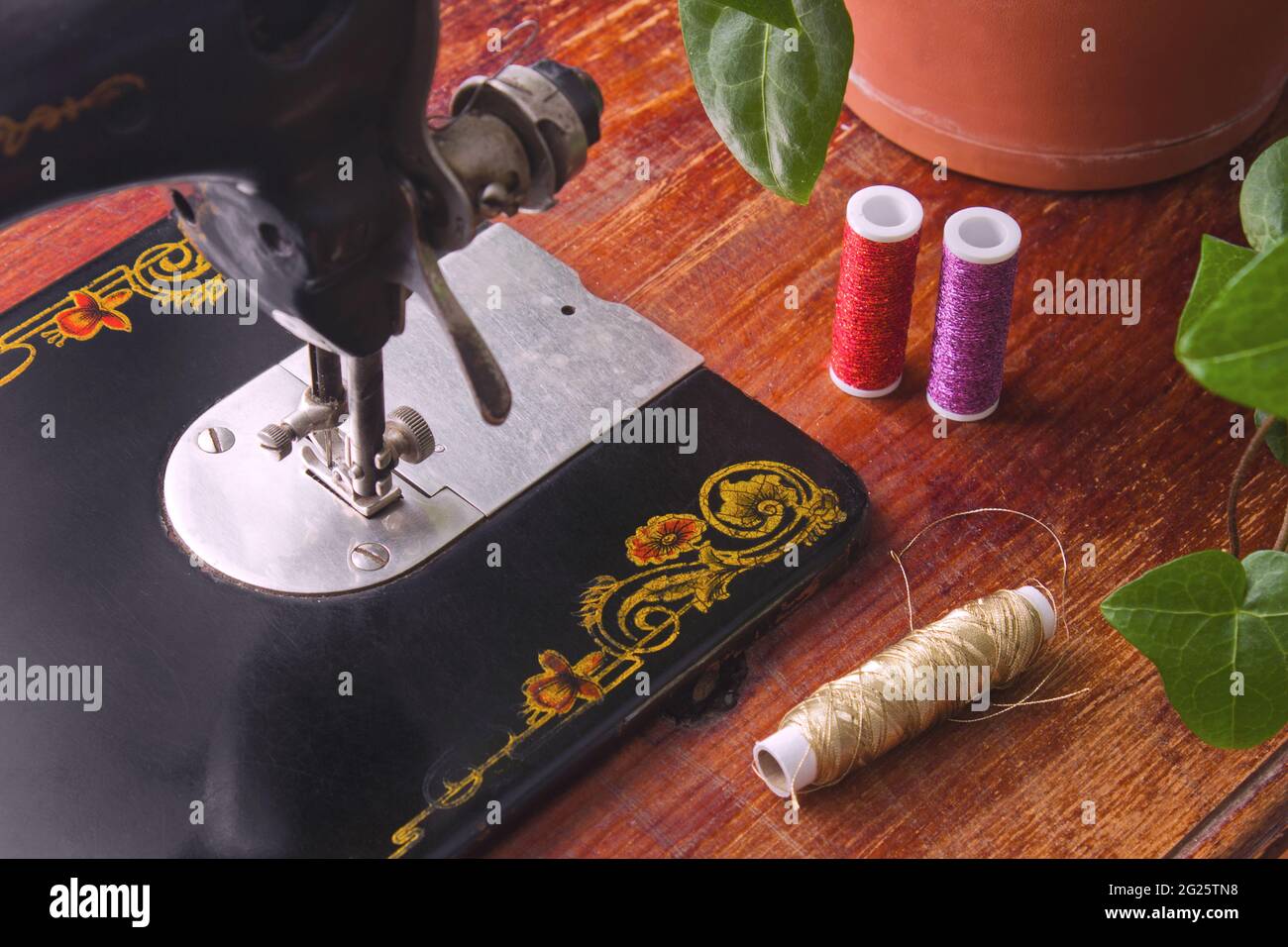 Sewing thread on a sewing machine Stock Photo - Alamy