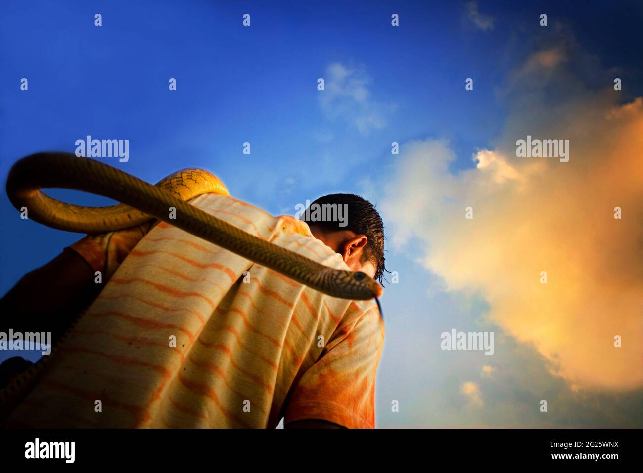 Snake charmer bangladesh hi-res stock photography and images - Alamy