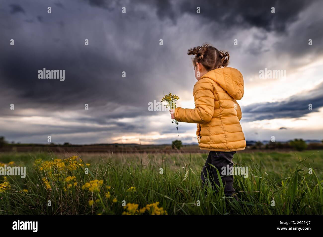 Oncoming rain clouds hi-res stock photography and images - Alamy