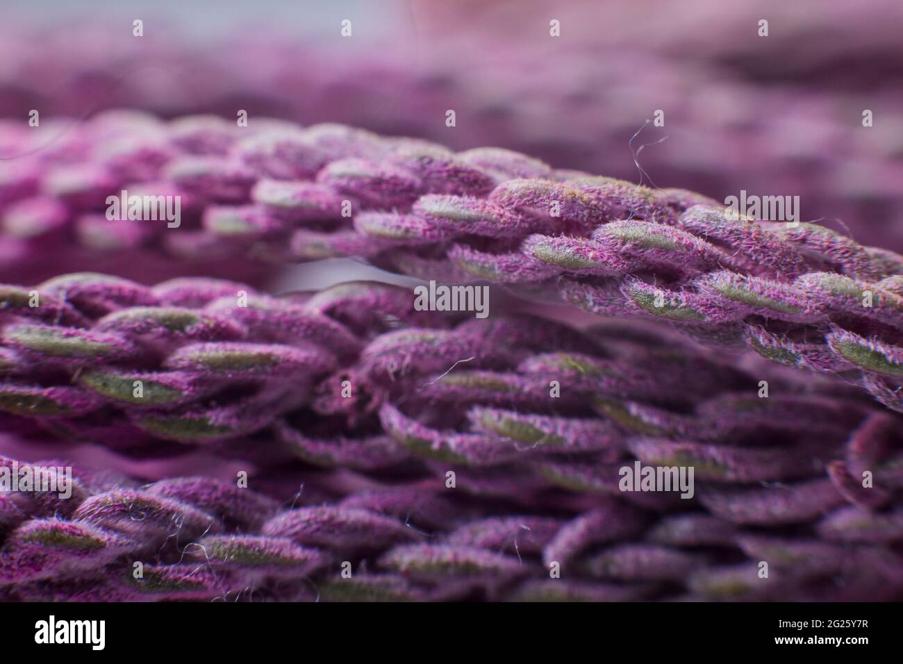a purple threads close up under the microscope background Stock Photo ...