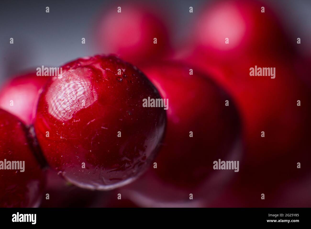 a round red ball background texture macro Stock Photo - Alamy