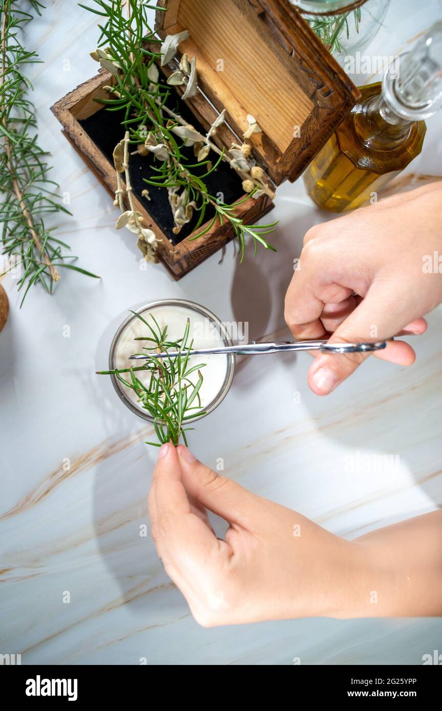 Hand cutting rosemary for preparation of alternative treatment Stock ...