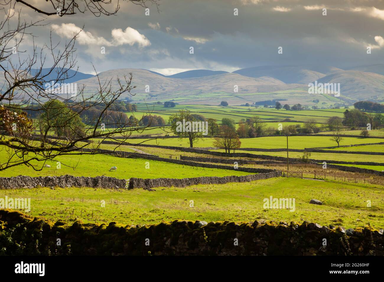 English countryside patchwork fields hi-res stock photography and ...