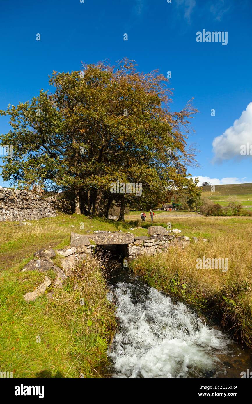 A footbridge over a small river near the Village of Orton, Cumbria ...
