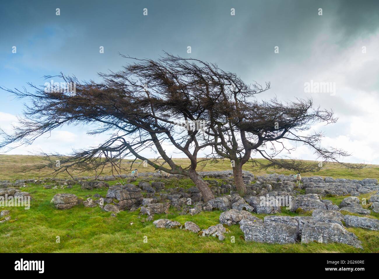Physical weathering hi-res stock photography and images - Alamy