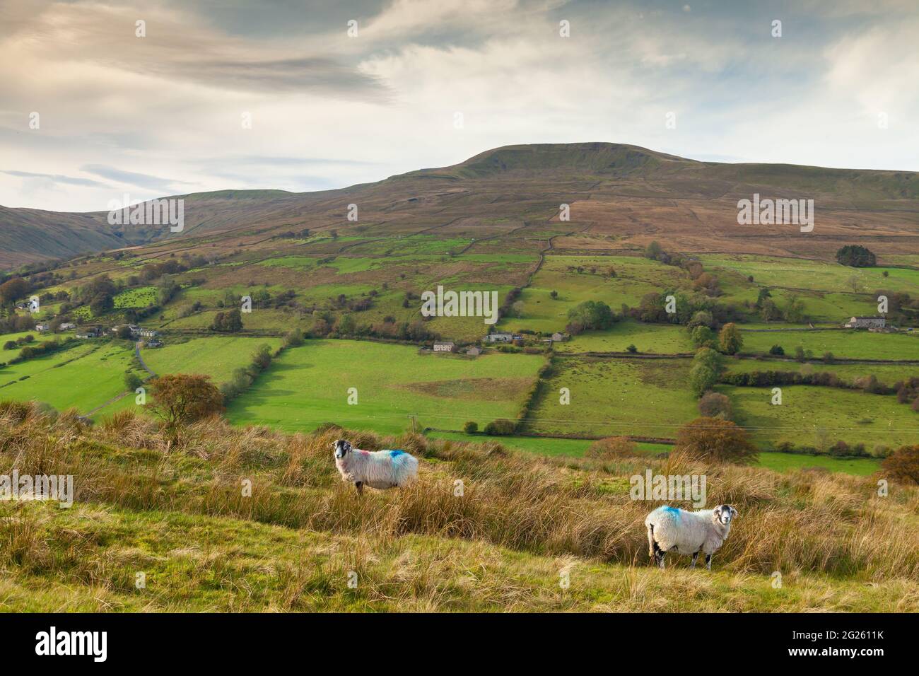 Great Coum hill from Whernside Stock Photo - Alamy