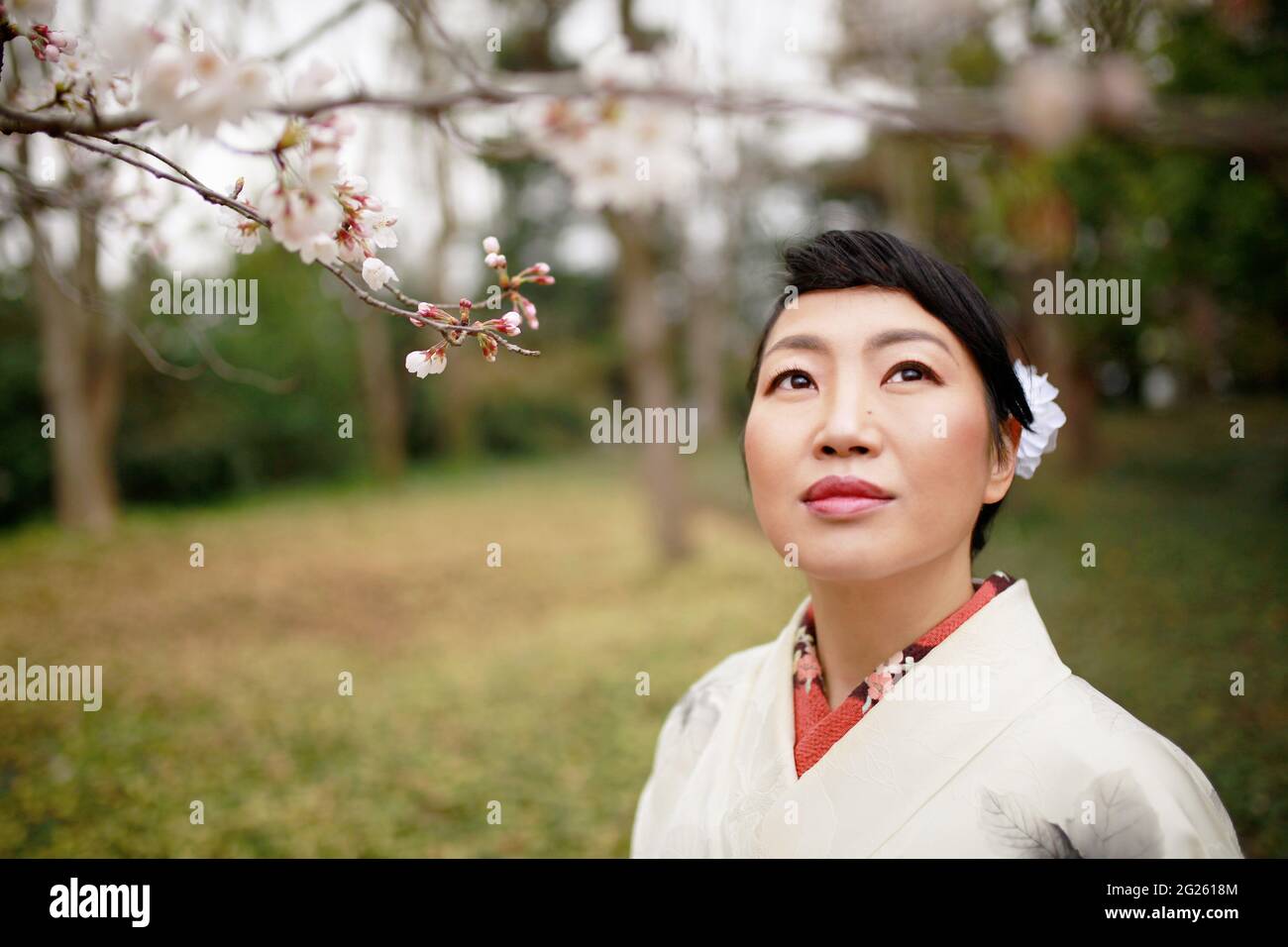 Japanese national kimono hi-res stock photography and images - Alamy