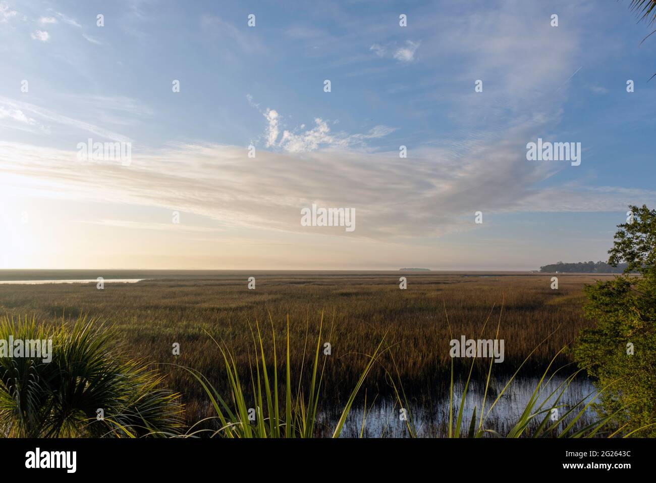 A beautiful landscape background of the lowcountry salt marsh near ...
