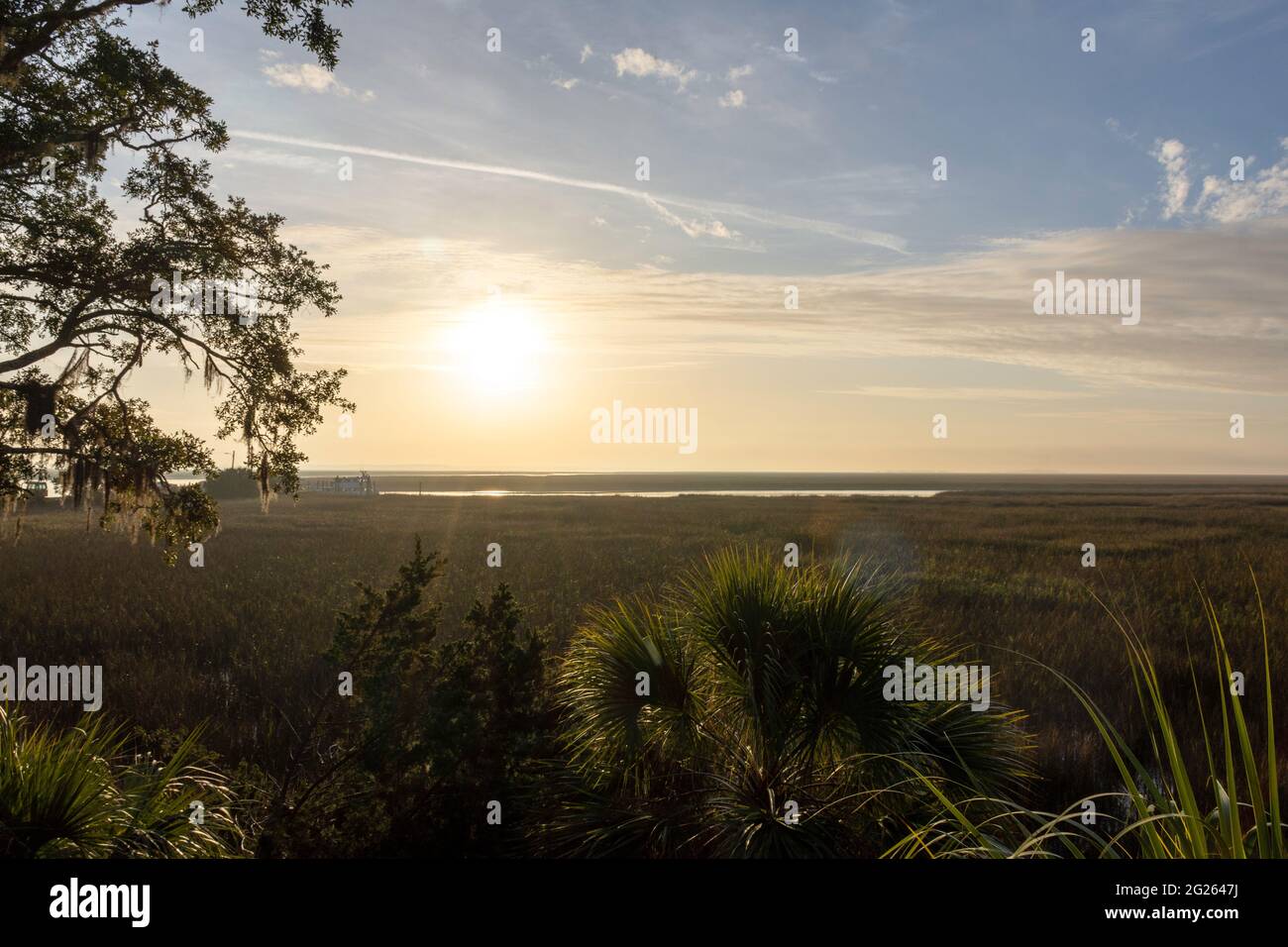 Coastal georgia hi-res stock photography and images - Alamy