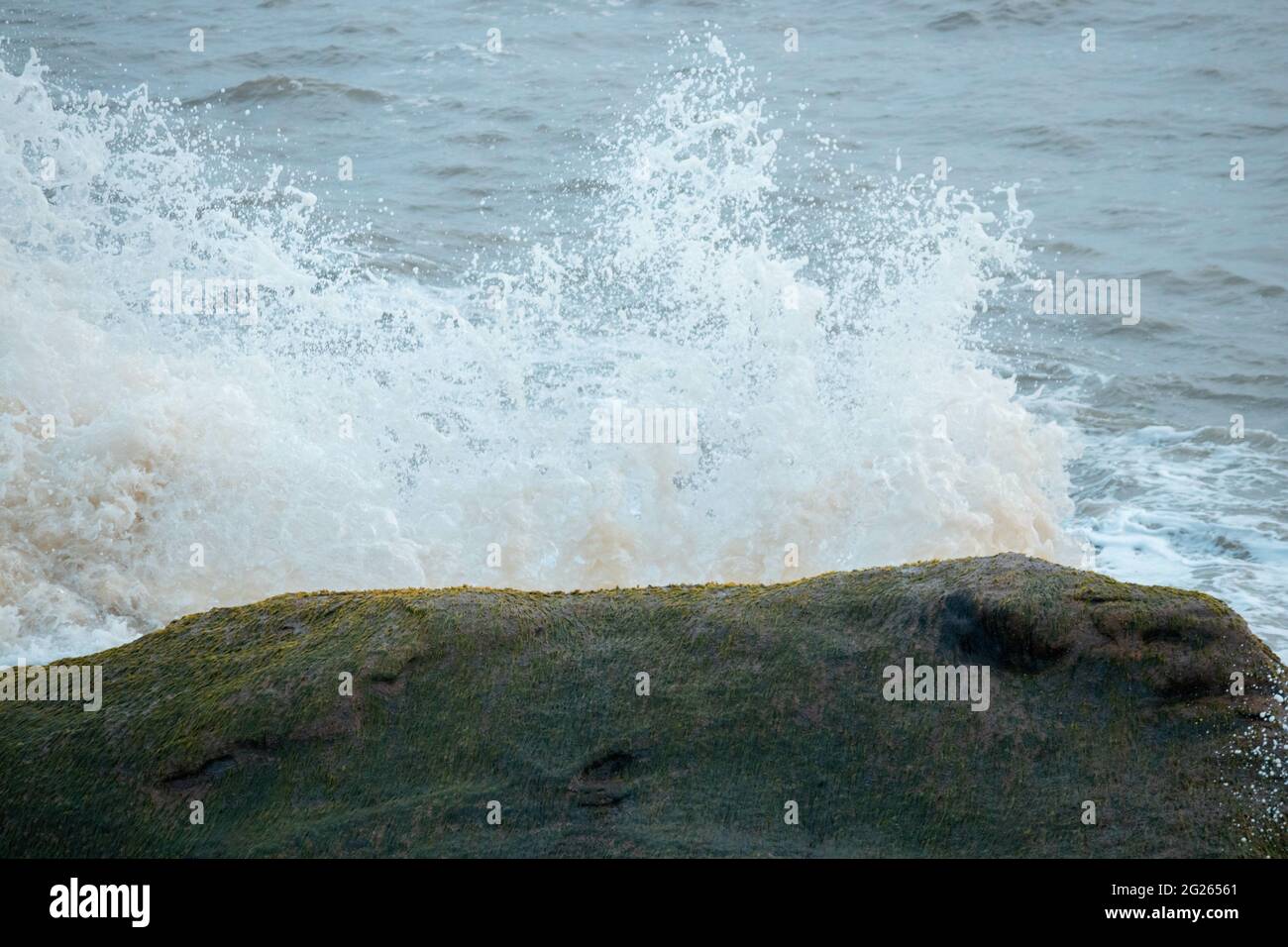 Foamy waves of the ocean hitting mossy rocks Stock Photo - Alamy