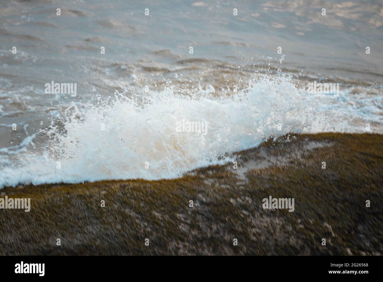 Foamy wave of the ocean hitting mossy rocks Stock Photo - Alamy
