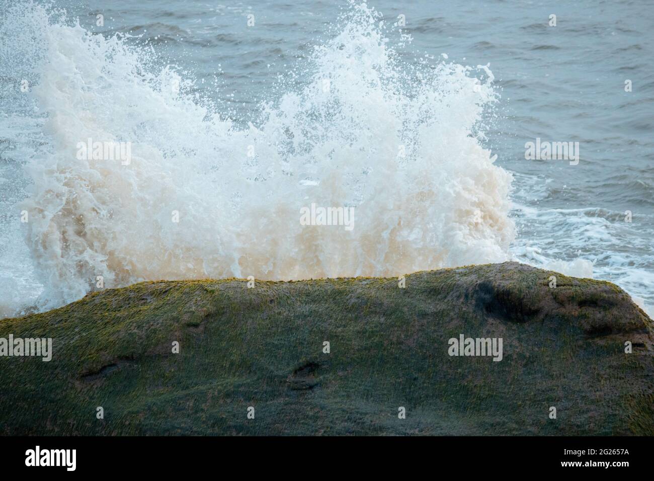 Foamy waves of the ocean hitting mossy rocks Stock Photo - Alamy