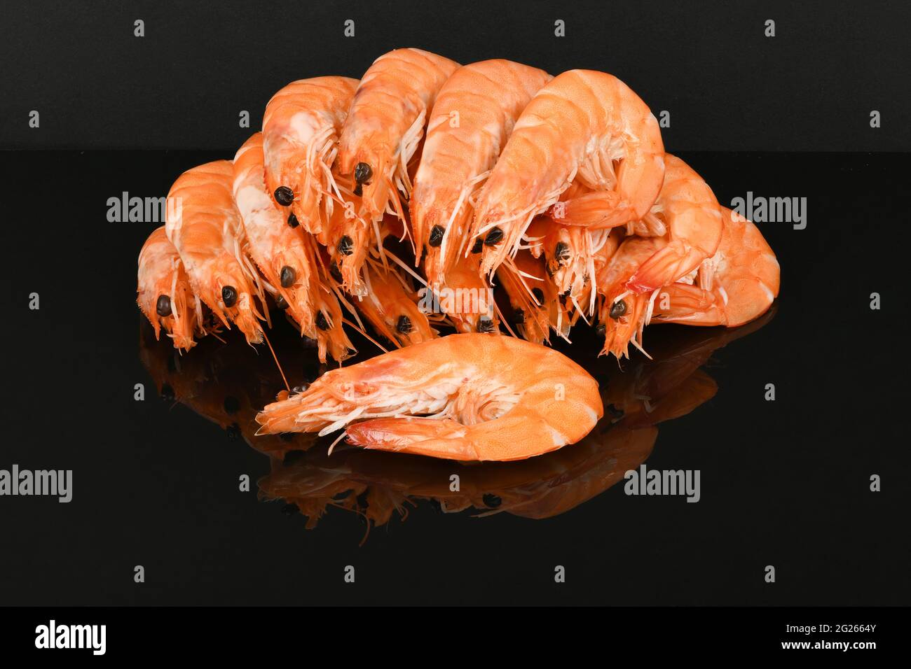 Shrimp isolated on acrylic black background. High resolution photo ...