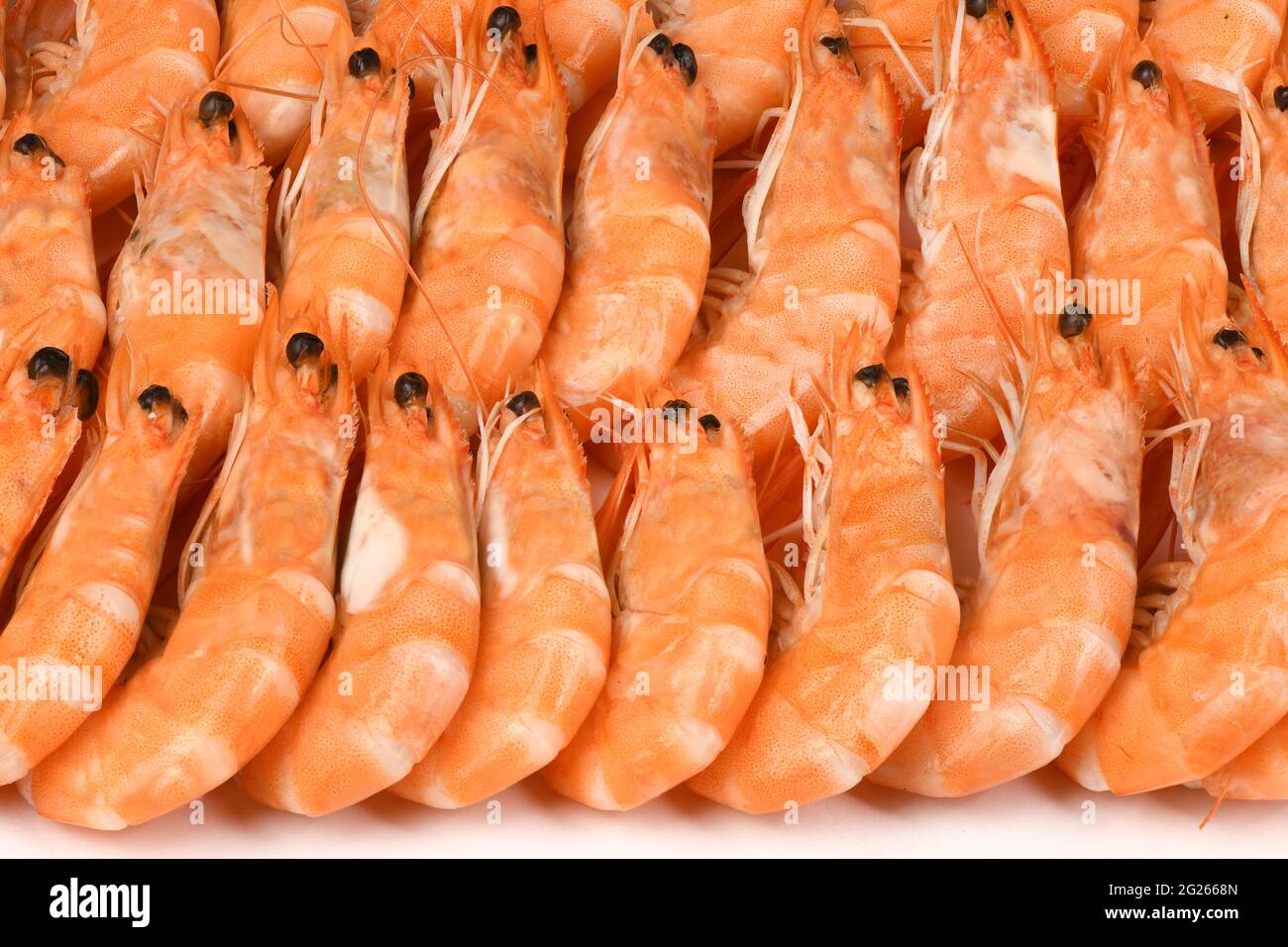 Background made of shrimp. High resolution photo. Full depth of field ...