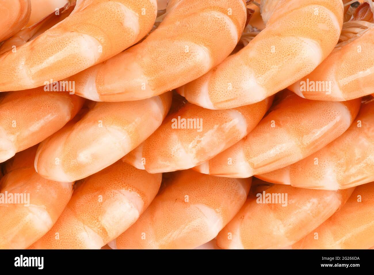 Background made of shrimp. High resolution photo. Full depth of field ...