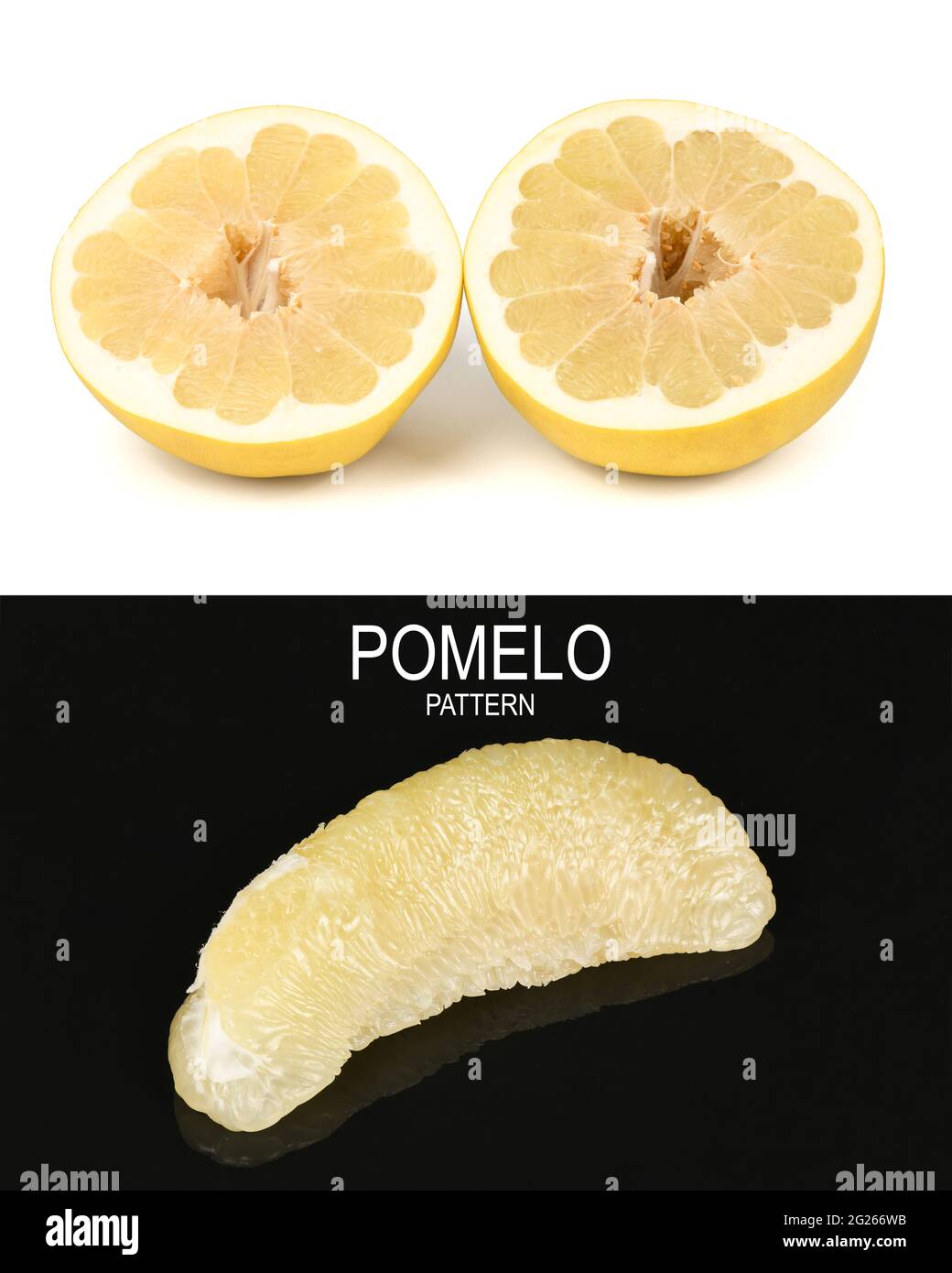 Creative layout made of pomelo. High resolution. Full depth of field ...