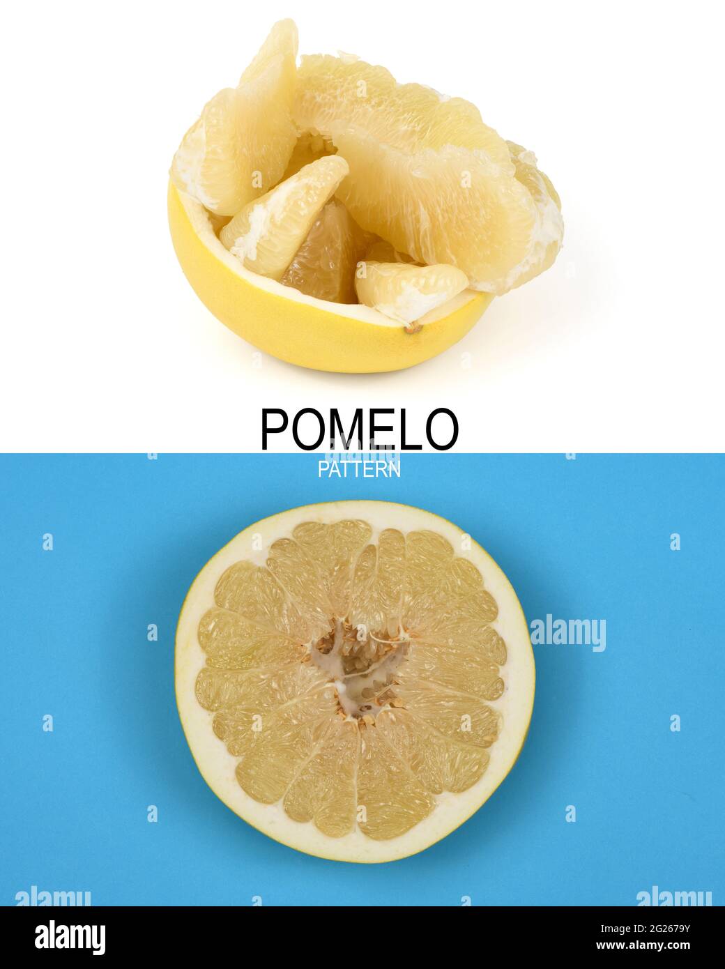 Creative layout made of pomelo. High resolution. Full depth of field ...