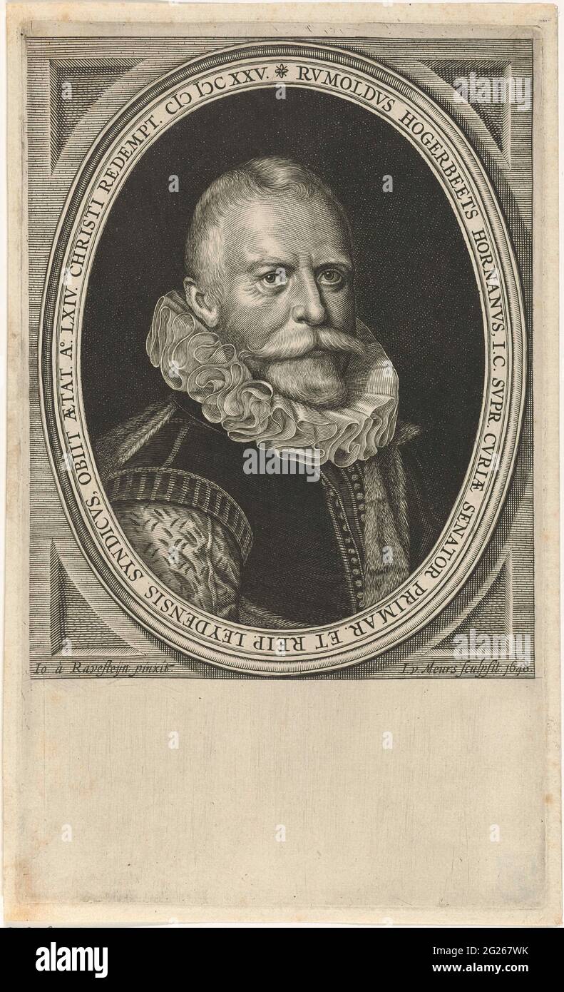 Portrait of rombout. Portrait of rombout highest, guided guyfish. In ...