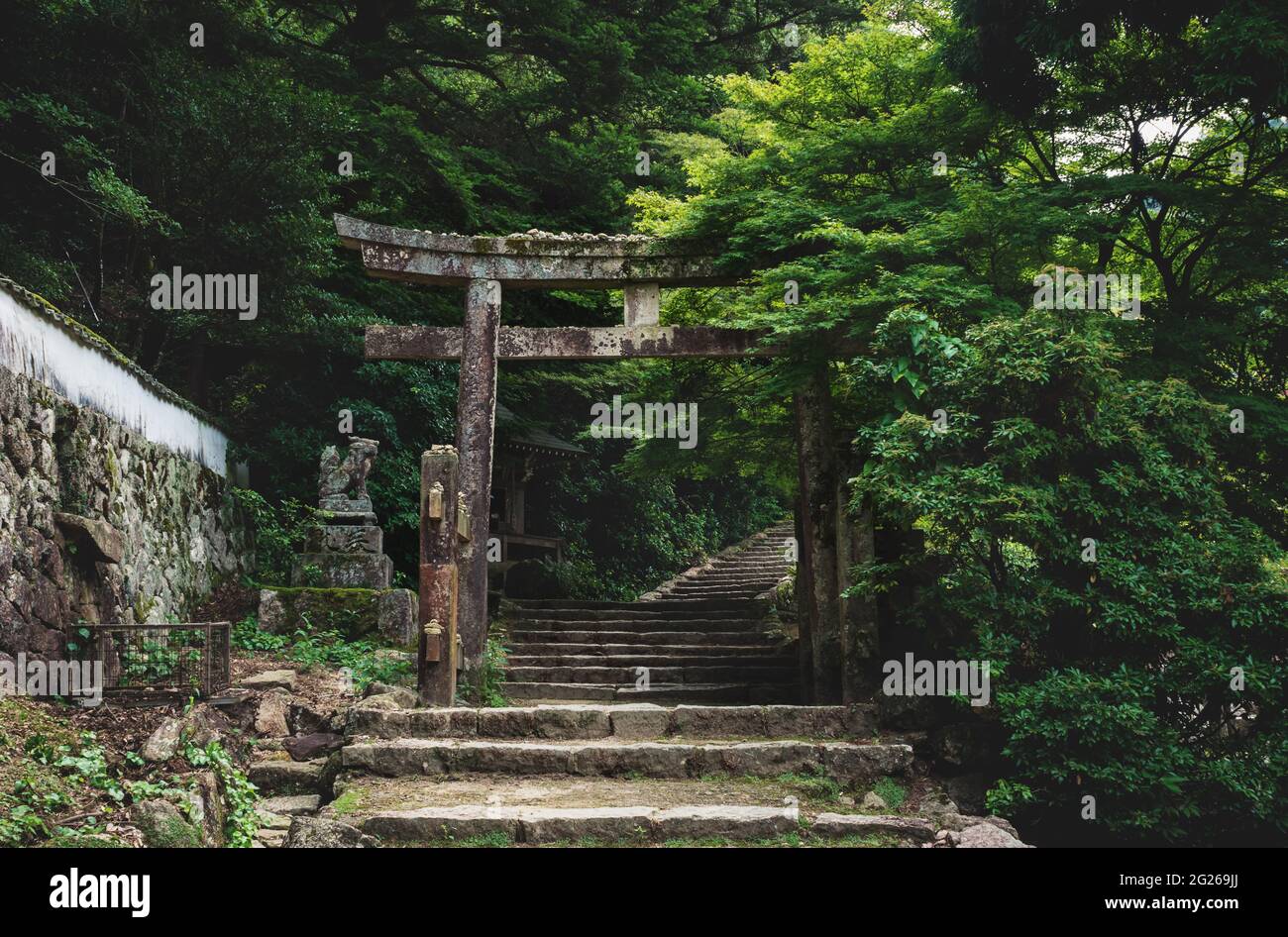 Old stone torri gate over a stairs path in forest park on Mount Misen ...