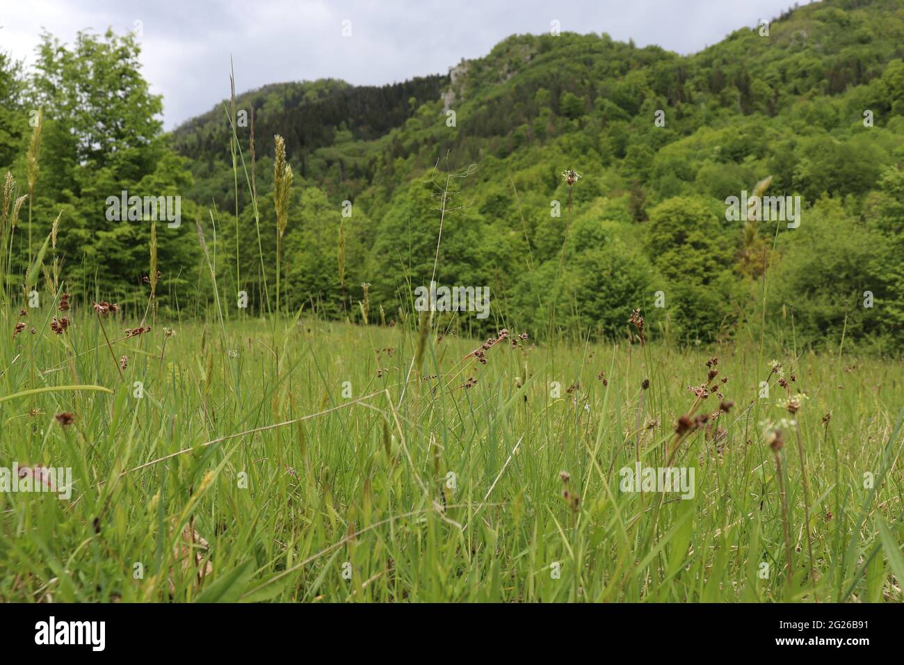 Beautiful green mountain hi-res stock photography and images - Alamy