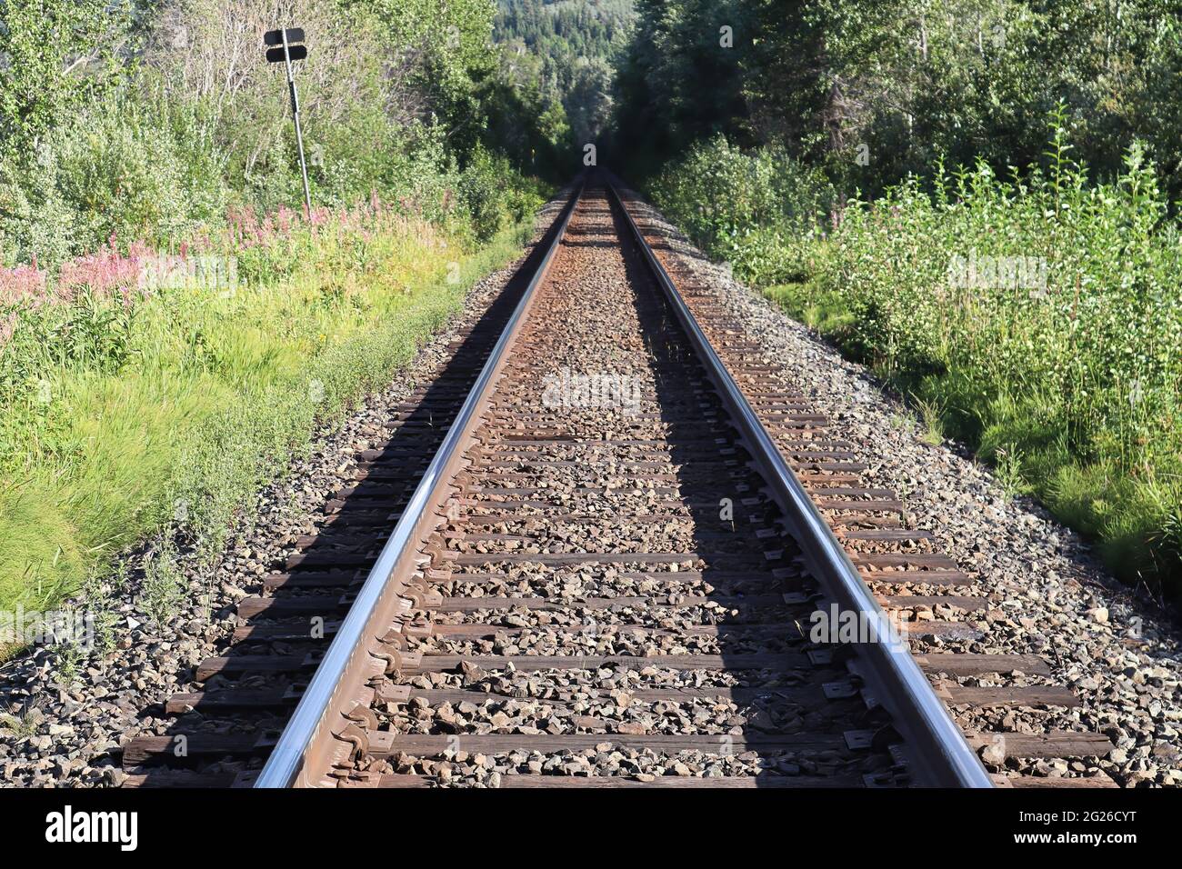 Perspective view of a train track diminishing into the distance Stock ...