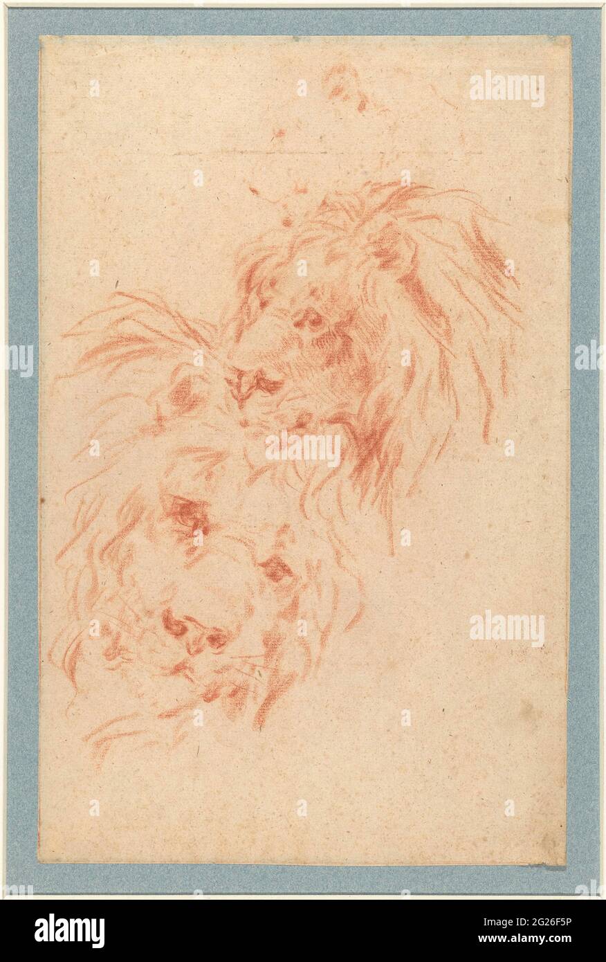Studies of two lion heads Stock Photo - Alamy