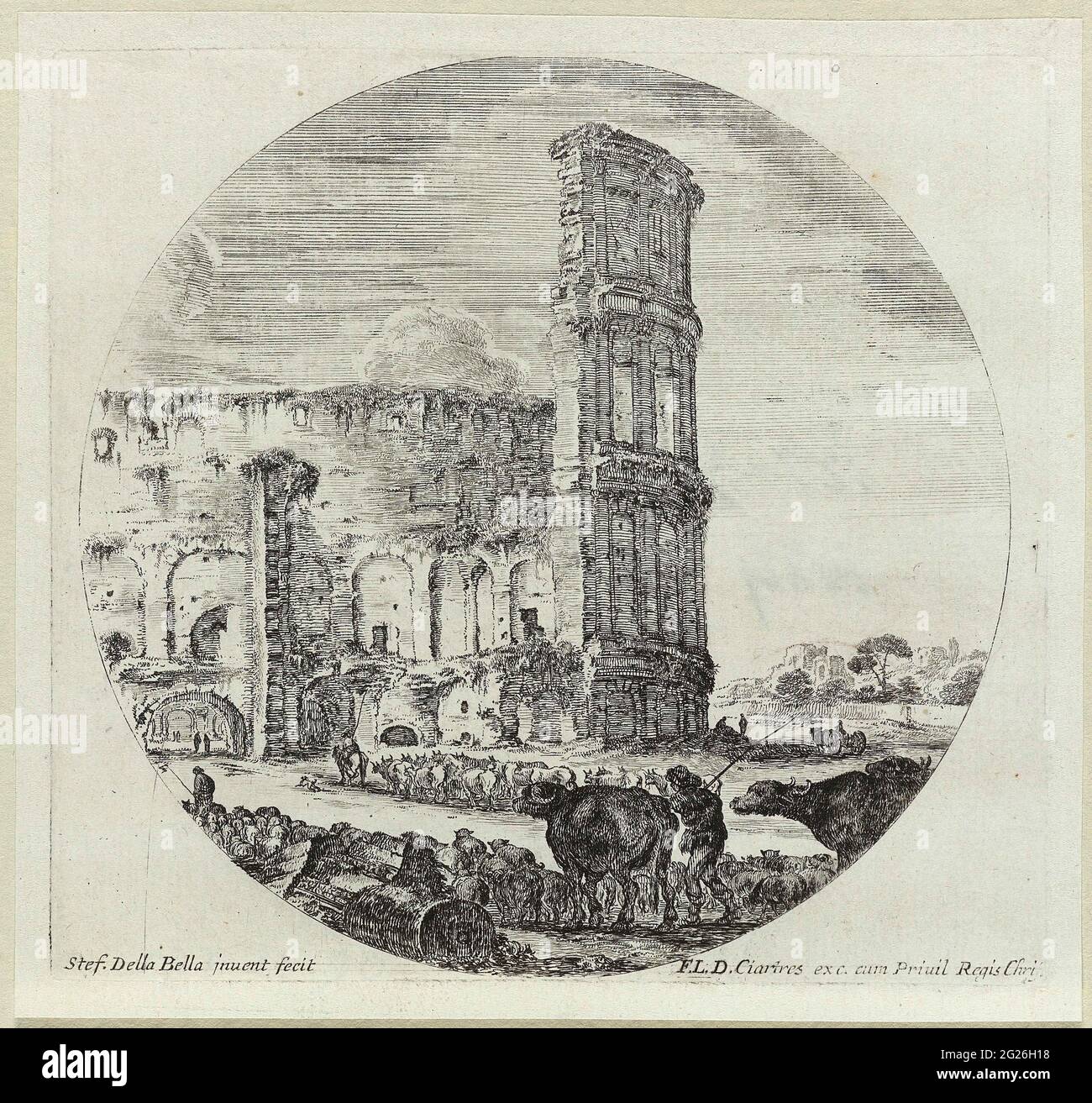 Herds of cows and sheep for the Colosseum; Landscapes and ruins in Rome ...