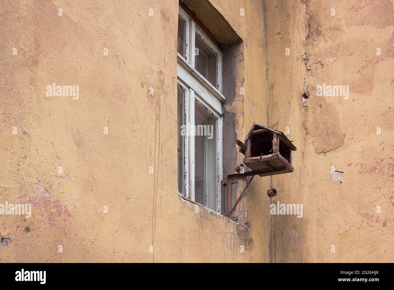 Bird nest building window hi-res stock photography and images - Alamy