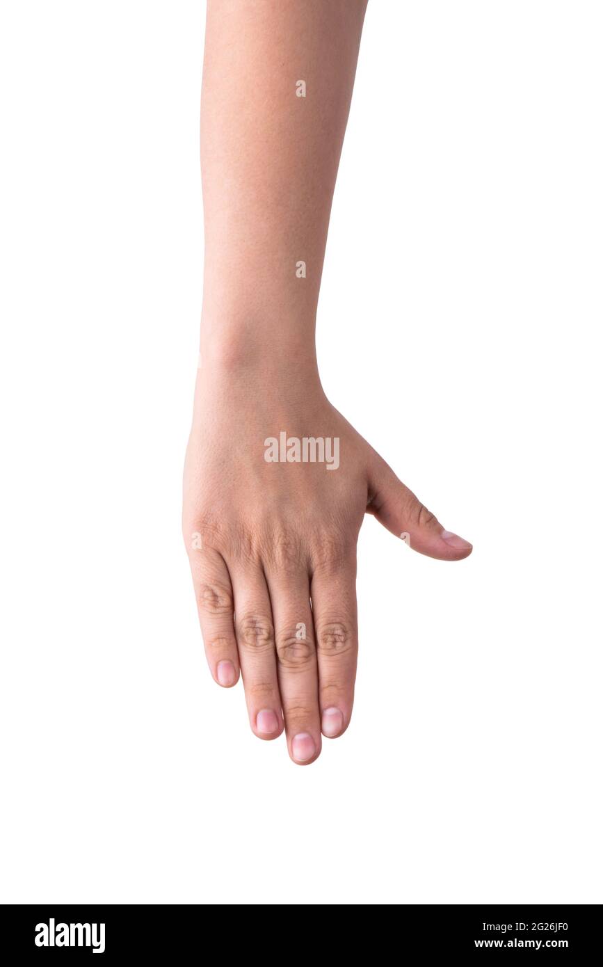 Friendly hand gesture, palm for handshake. Isolated on white background ...