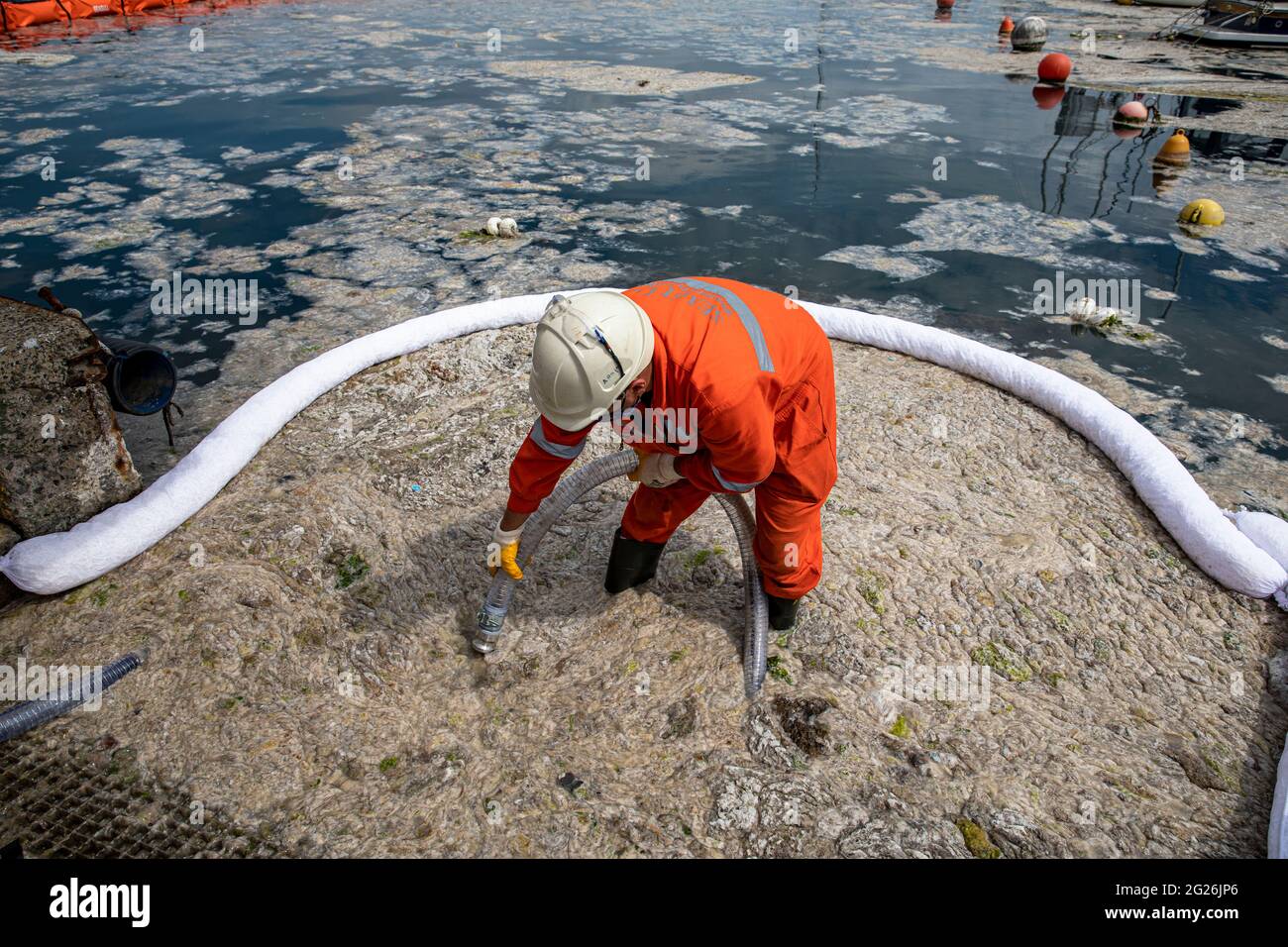 A specially dressed personnel seen cleaning during the mucilage clean ...