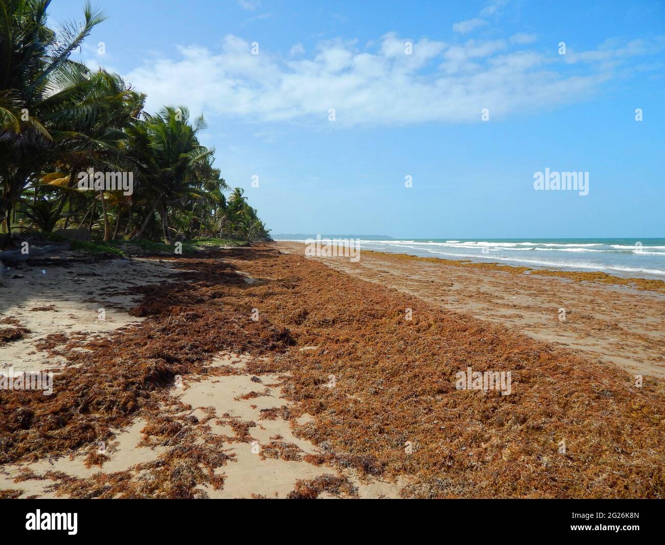Mayaro Beach Trinidad