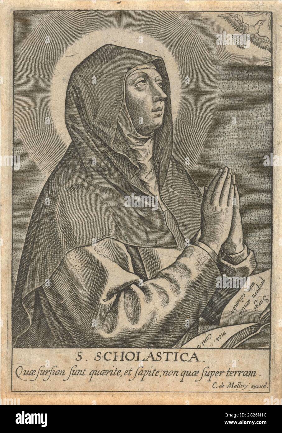 H scholastica hi-res stock photography and images - Alamy