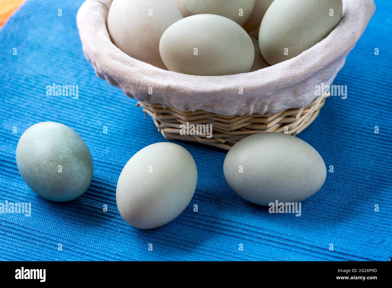 Blue Duck Eggs
