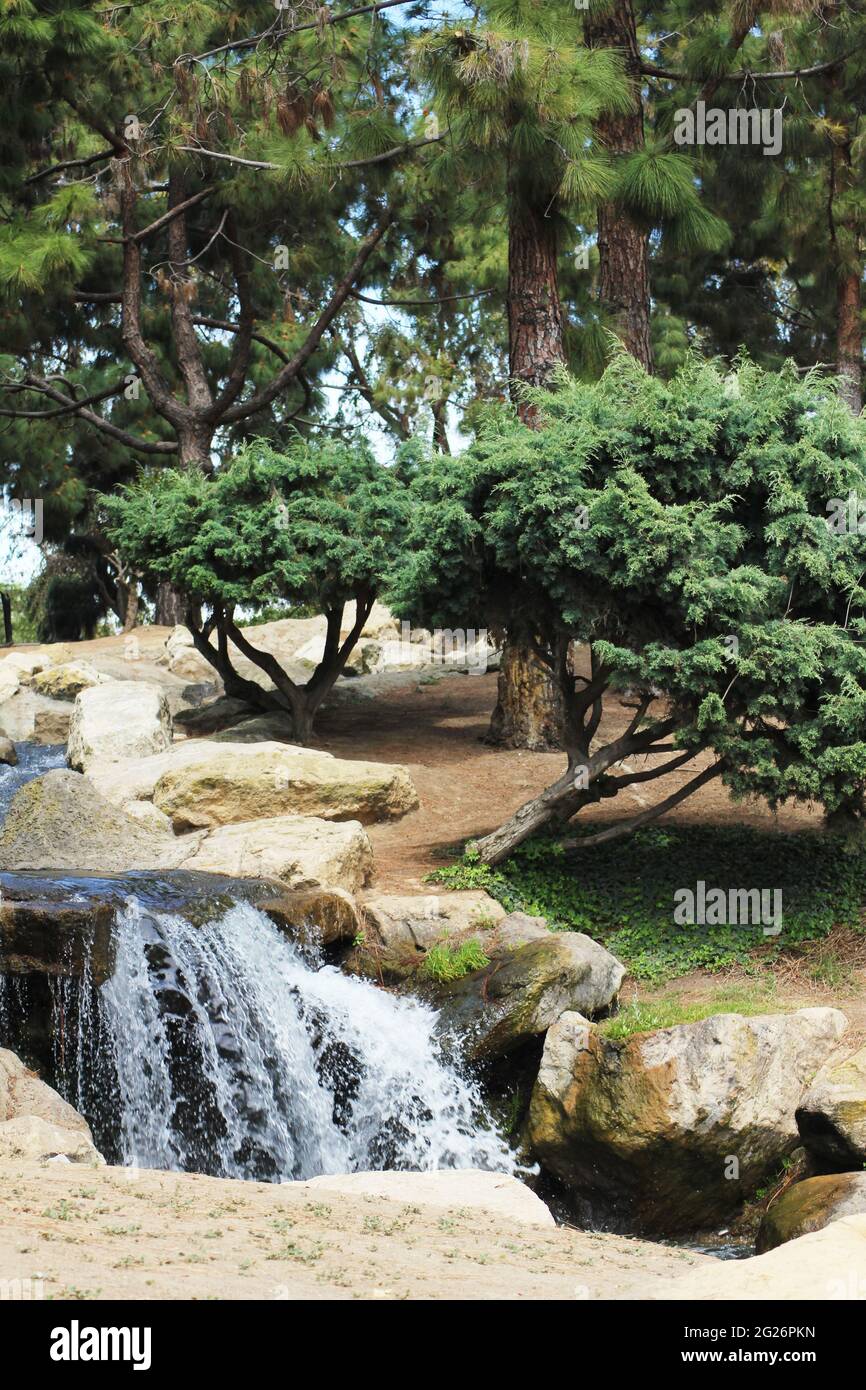 Creek landscape nature tree trees hi-res stock photography and images ...
