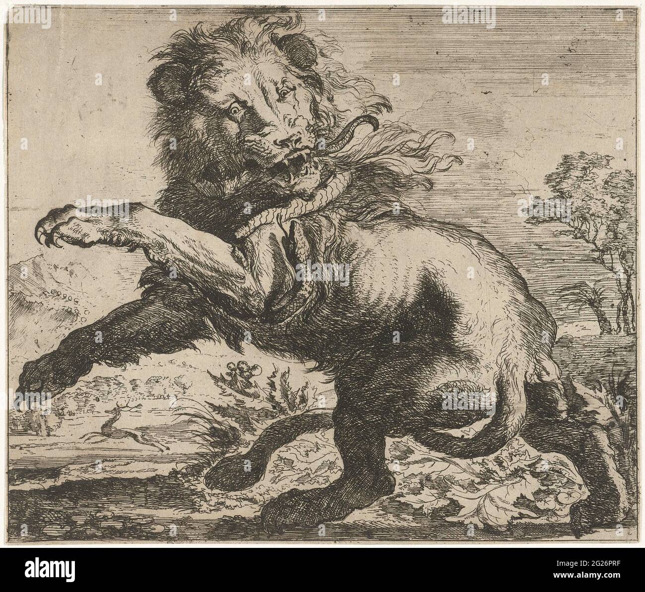 Lion and snake in battle; Different animals. A lion with a snake in his ...