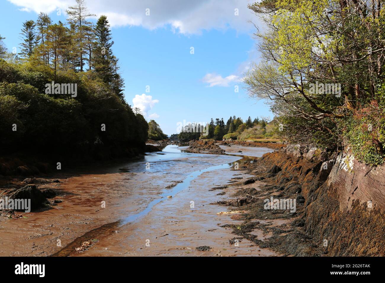 Small river with rocky banks surrounded by trees in the summertime ...