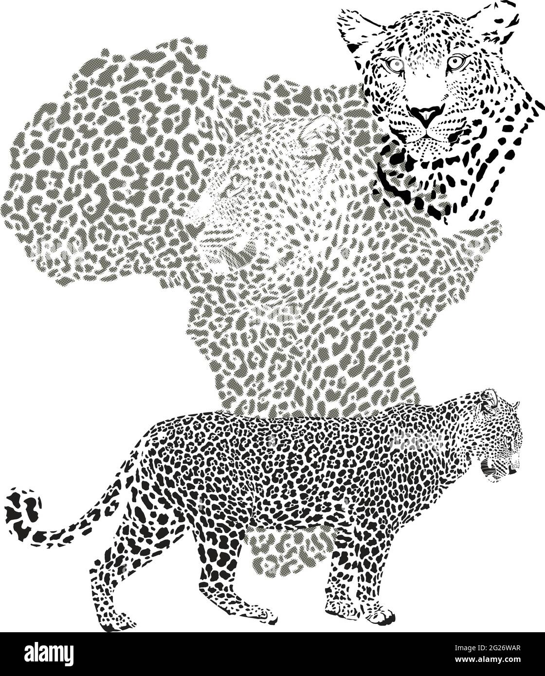 South african leopard print Stock Vector Images - Alamy