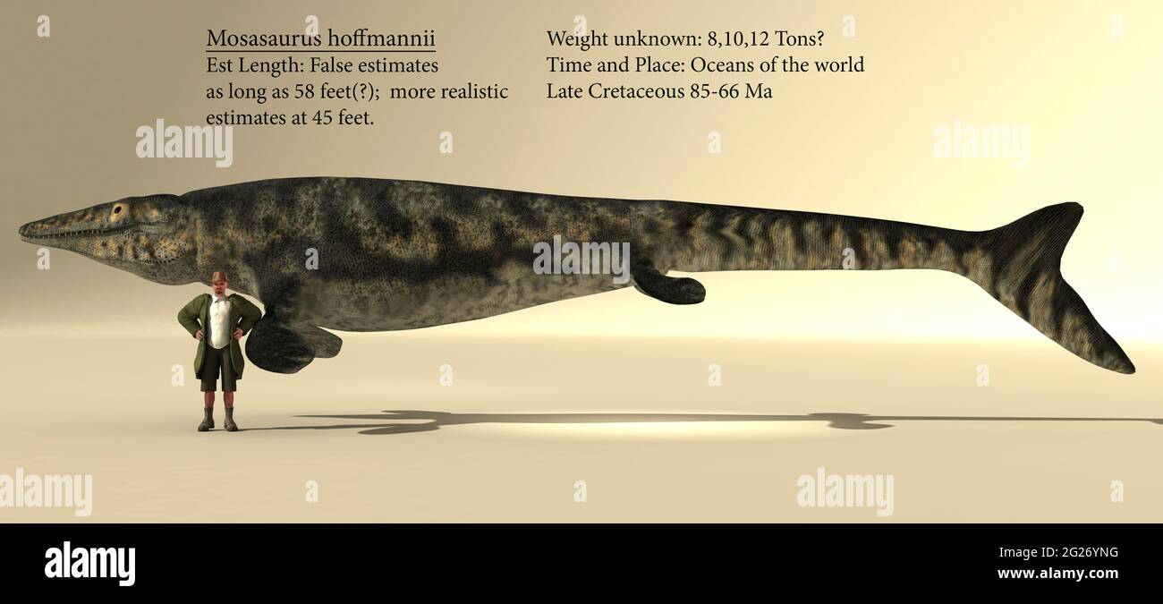 Mosasaurus Hi res Stock Photography And Images Alamy Mosasaurus Hi res Stock Photography And Images Alamy
