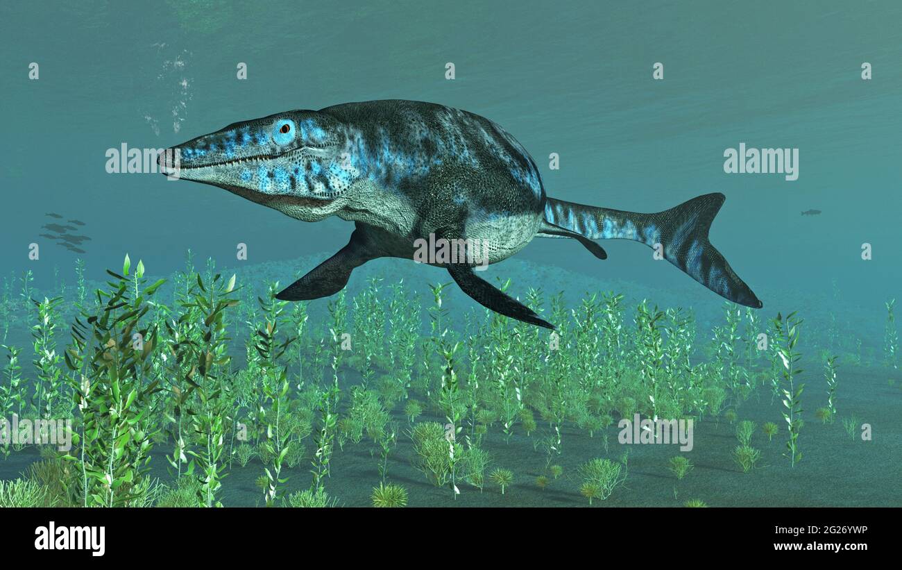 Mosasaur hi-res stock photography and images - Alamy