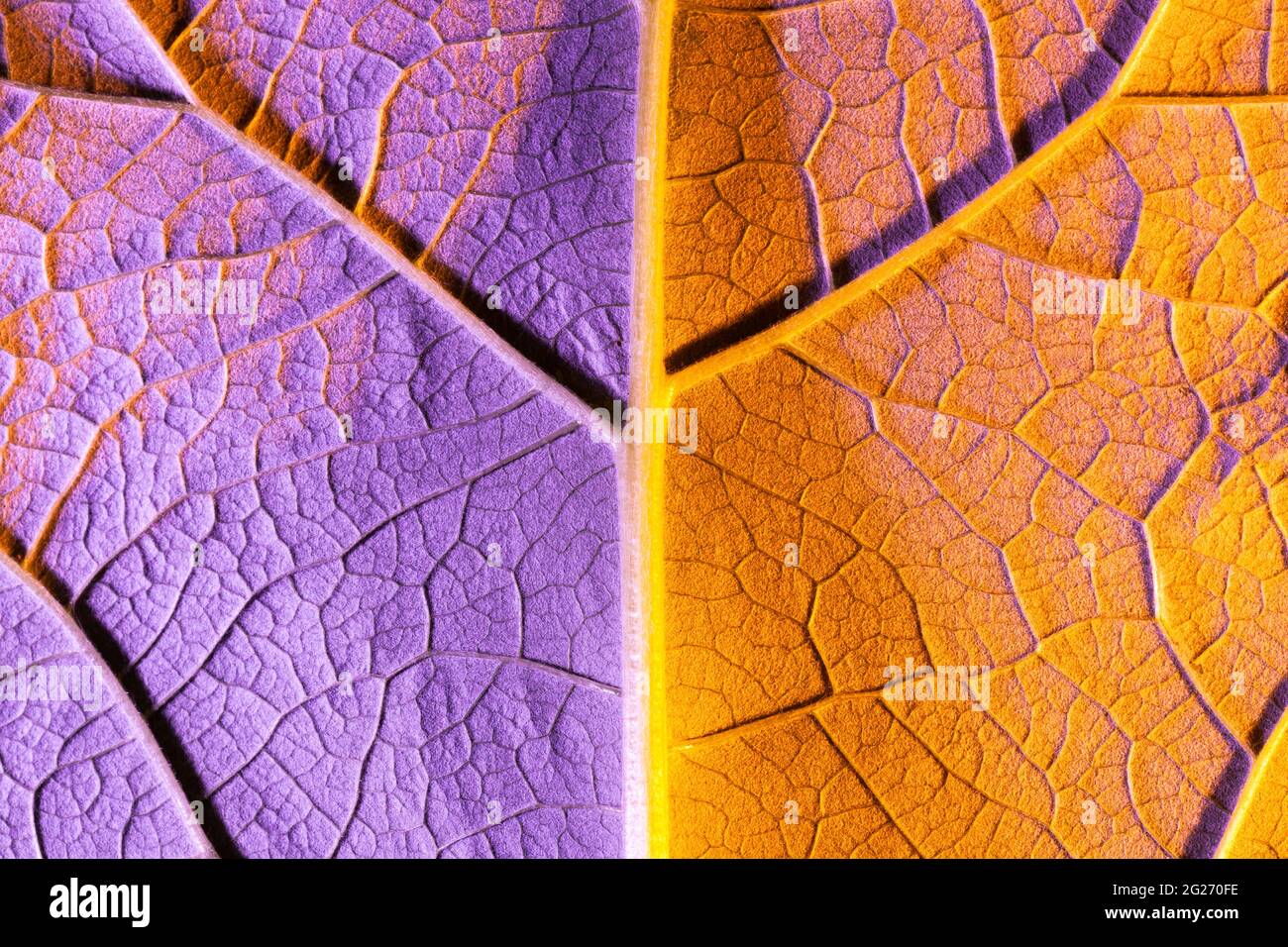 Green sheet hi-res stock photography and images - Alamy