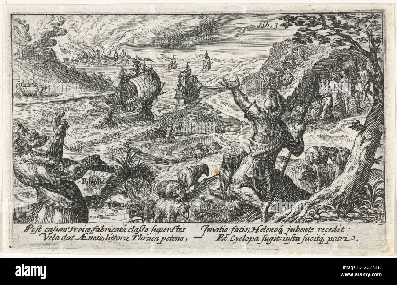 Polyphemus sheep hi-res stock photography and images - Alamy