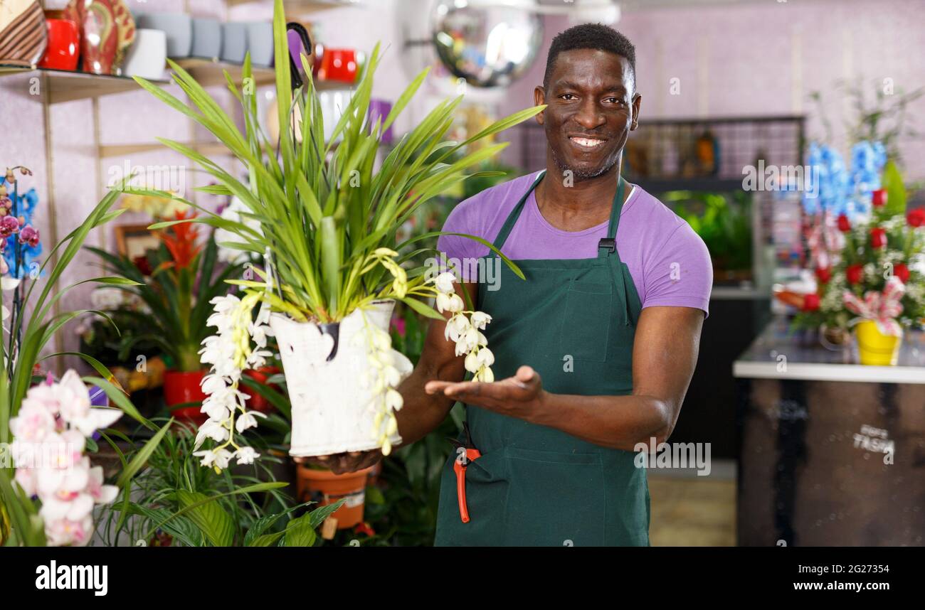 Flower shop owner offering potted plants Stock Photo - Alamy