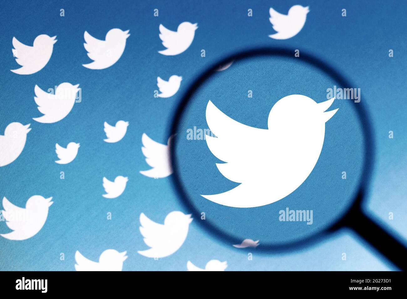 In this photo illustration a Twitter logo is seen on a computer screen ...