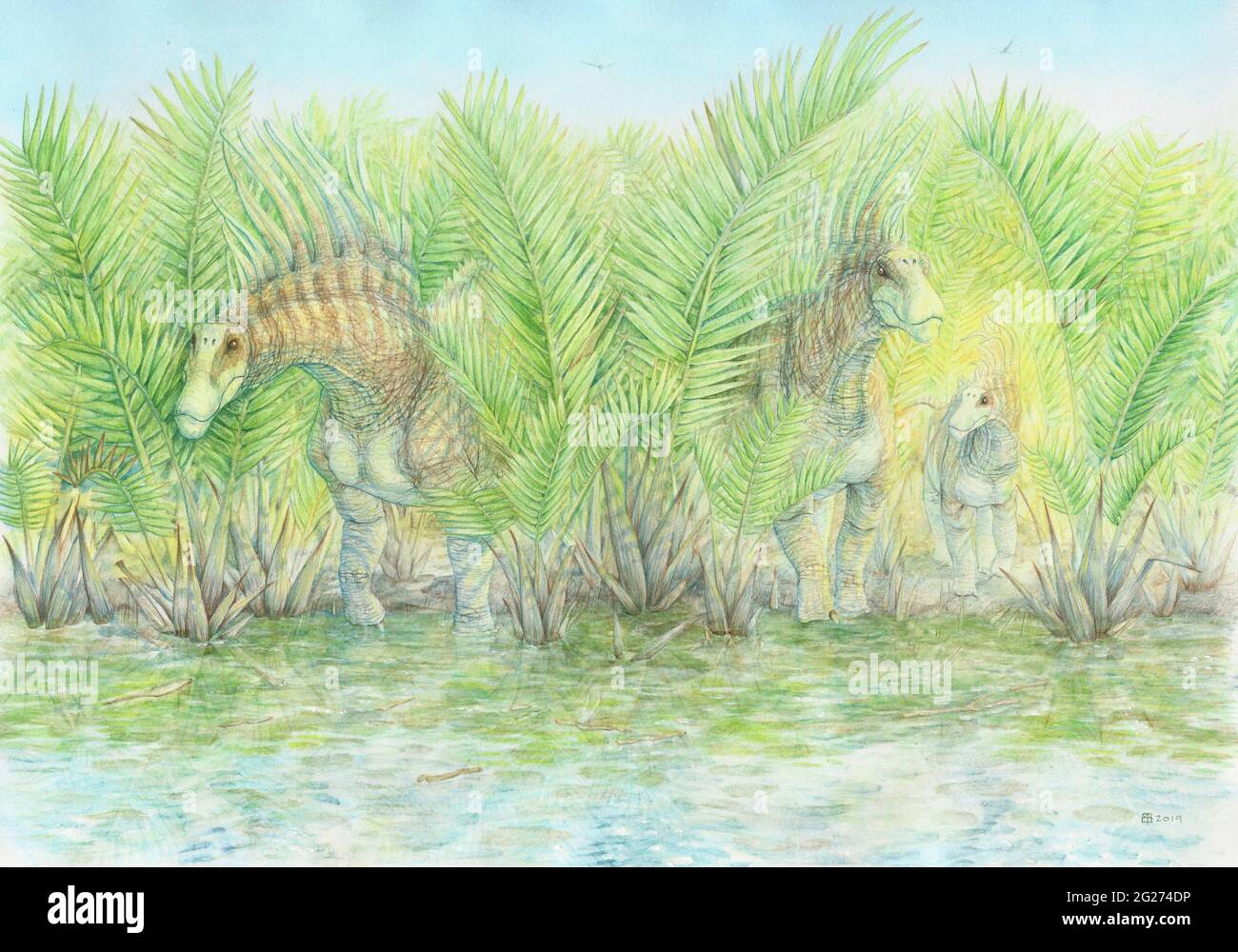BajadasaurusÂ pronuspinax amongst Nipa palms Stock Photo - Alamy