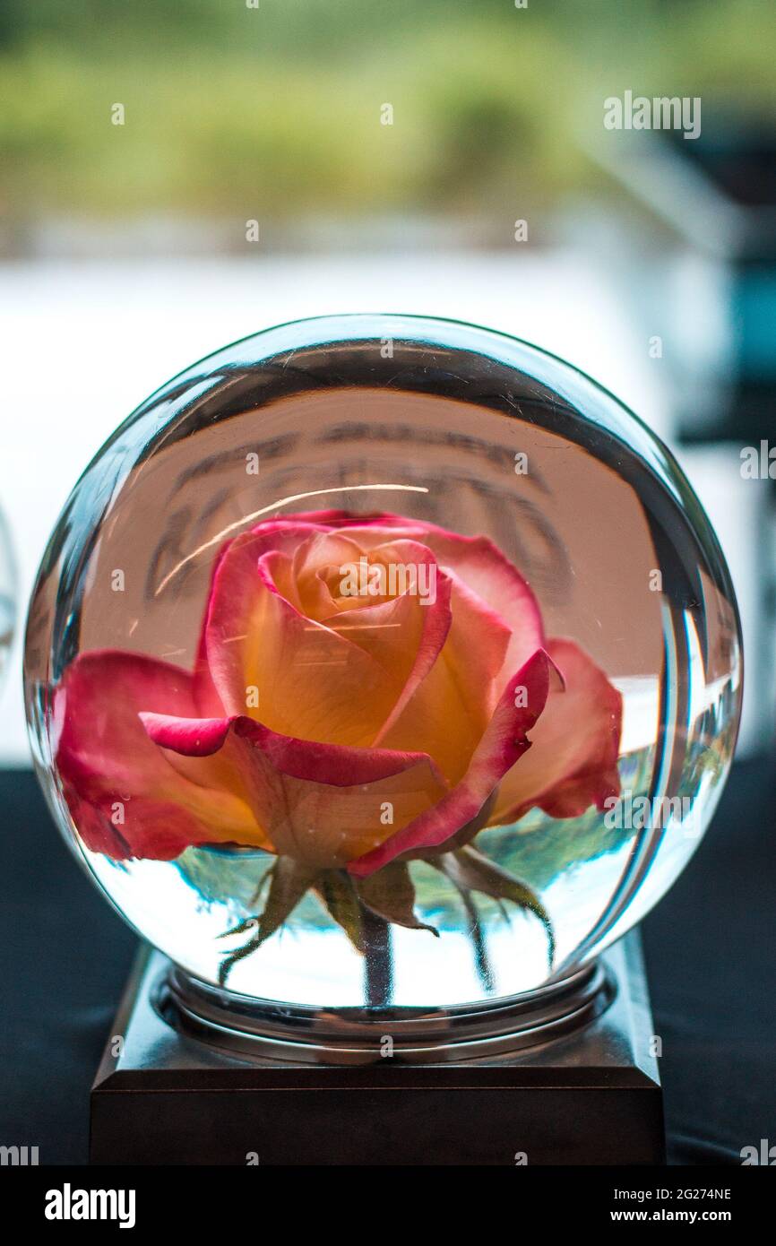 Rose encased in a glass ball Stock Photo - Alamy