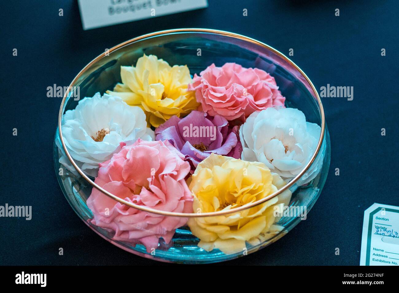 Roses on display in glass bowl at a rose show Stock Photo - Alamy