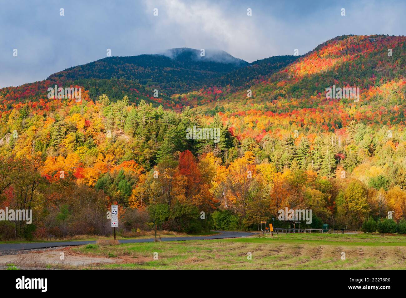 New forest road signs hi-res stock photography and images - Alamy