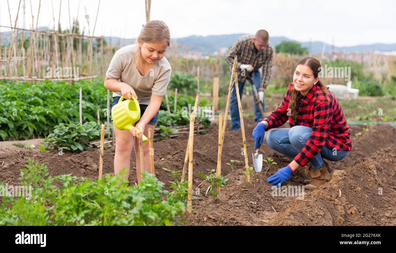 Daughter helps mom to water plants from a watering can in farm field ...