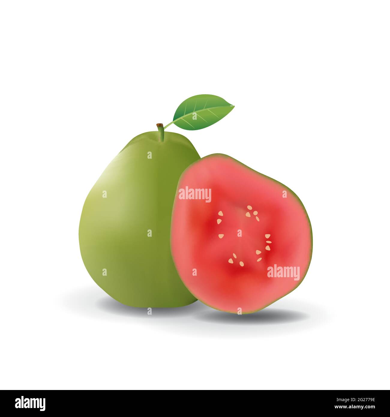 Guava Cartoon Images